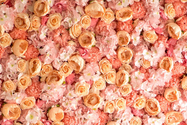10 Rose Colors and Their Meanings to Help You Pick the Perfect Bloom